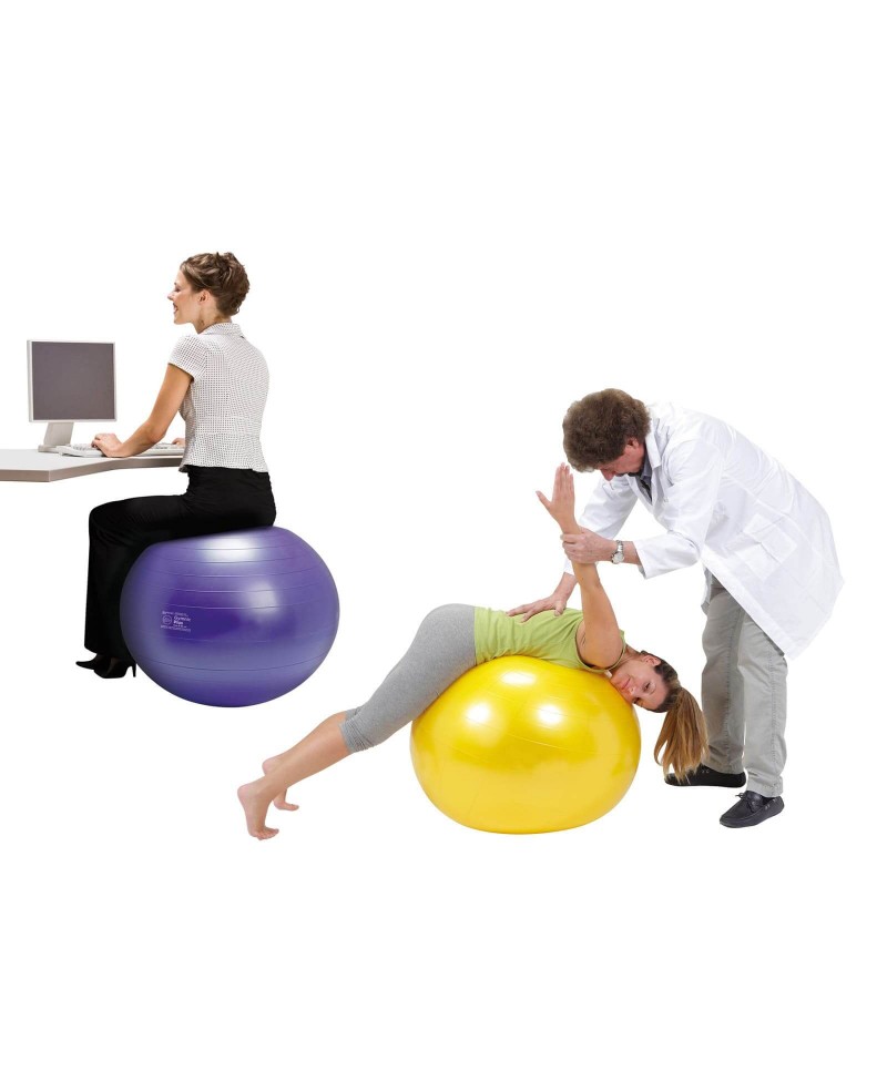 Gymnic Plus Brq