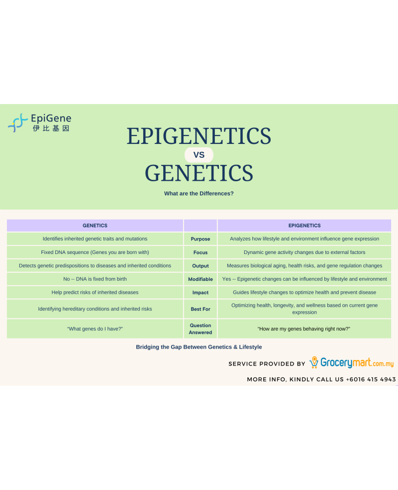 Epigene Blood Collection Kit | Easy At-Home DNA Health Test